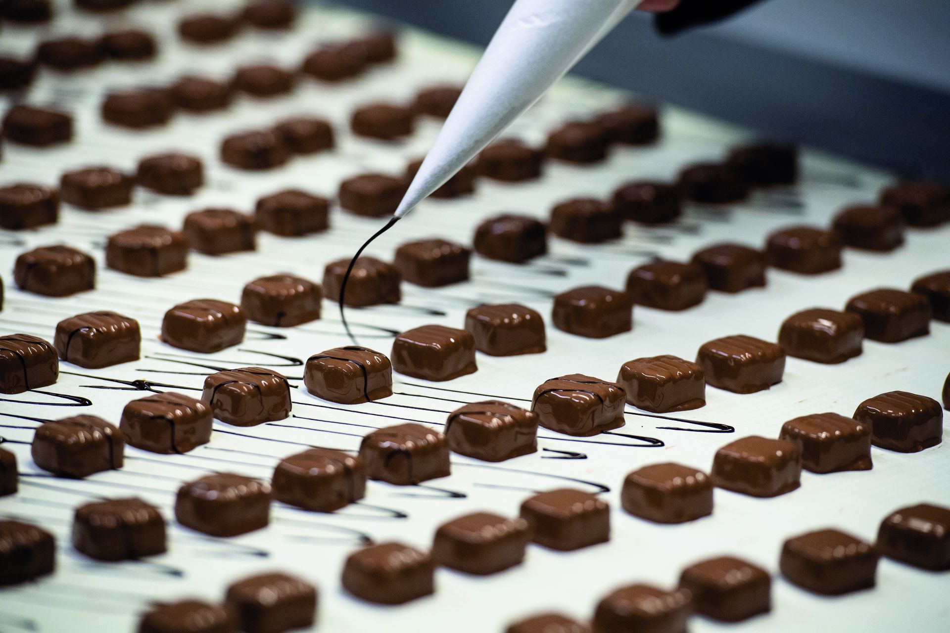 Alex Olivier Chocolate Factory digitizes with Odoo