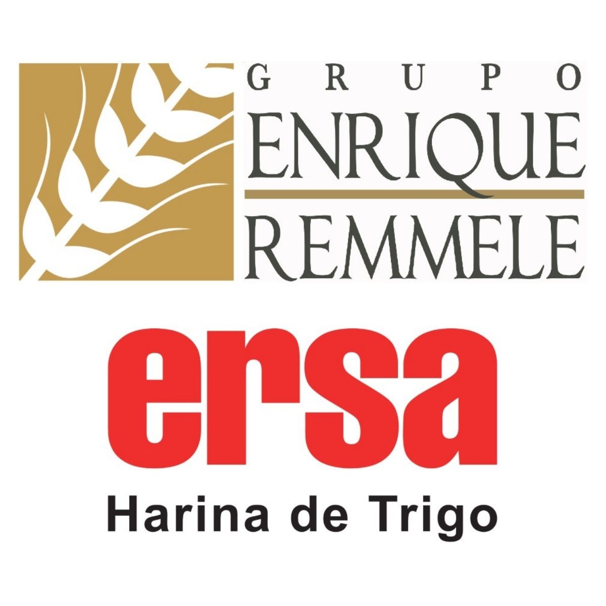 Enrique Remmele S.A.C.E.I. | Odoo